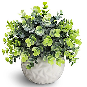 Hopewood Fake Plants Indoor Small Artificial Eucalyptus Plants in White Pots for Bedroom Home Decor Faux Plants Decor