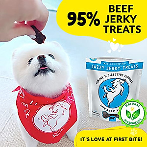 HappyTails Canine Wellness, Jazzy Jerky, Natural 95% Beef Jerky Treats, Healthy Dog Treats Made in USA, Gut & Immune Health, Skin & Coat, Small-Large Dogs, 5 oz