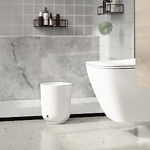 Umbra Step Trash Can with Lid