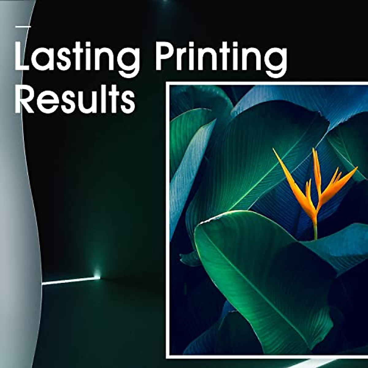 SHUPAN 122 122XL Ink Cartridges Replacement for HP 122 Ink Cartridges for HP Deskjet 1000 1050 2050s 2050 3050A 3000 Laser Printer (1 Black, 1 Tri-Color)