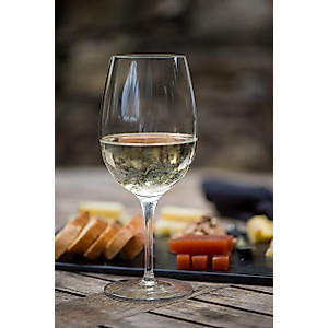 Luigi Bormioli Palace 11 oz White Wine Glasses (Set Of 6), Clear