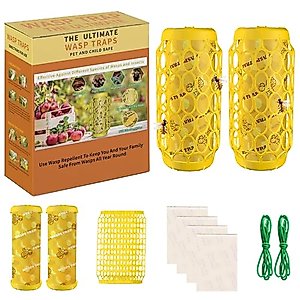 Wasp Trap Carpenter Bee Trap 2 PCS & Replaceable Sticky Boards 4 PCS & Hanging Strings 2 PCS | Repellent Wasp Trap Hanging for Yellow Jacket Wasp Killer Catcher | Reusable & Durable Bee Catcher