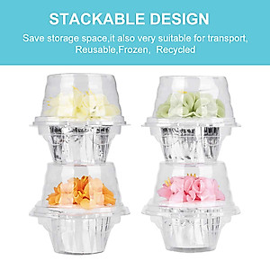 LOKQING 100 Pcs Cupcake Boxes Plastic Individual Cupcake Containers Single Cupcake Carrier with Connected Airtight Dome Lid for Party