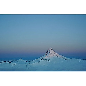 Nikon 2137 50mm f/1.8D Auto Focus Nikkor Lens for Nikon Digital SLR Cameras (Renewed)