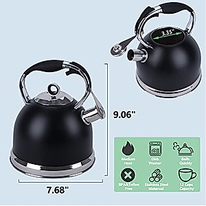 Foedo Tea Kettle, 3 Quart Whistling Tea Kettle for Stovetop with Cool Grip Ergonomic Handle, Food Grade Stainless Steel Tea Pots for Stove Top, Gas Electric Applicable