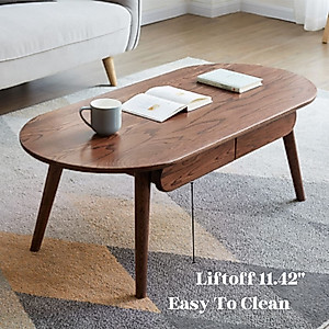 Bamskov 100% Solid Wood Coffee Table with Storage - Mid Century Modern Coffee Table - Oval Coffee Table - Simple Assembly (Walnut, 47.24")