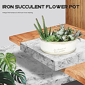 Happyyami 1pc Ring Flower Pot Metal Flower Planter Outdoor Planter Decorative Cute Flower Pot Table Plant Pot Succulent Pot Retro Planter vase Front Door White Small Cactus Iron Office