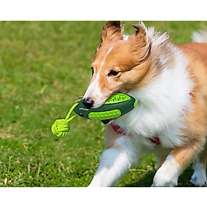 Squeaky Dog Toys Puppy Squeak Toy Interactive Doggy Treat Dispenser Food Dispensing Ball Fetch Catch Rugby Puzzle Teething Toys Ball IQ Training Chew Toys for Small and Medium Dogs