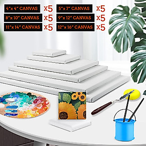 30 Pack Canvases for Painting with 4x4", 5x7", 8x10", 9x12", 11x14", 12x16", Painting Canvas for Oil & Acrylic Paint