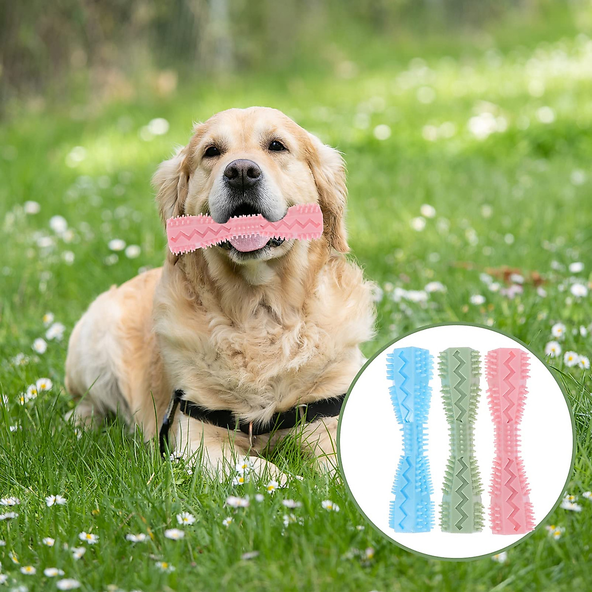 Mipcase 9 Pcs Pet Teething Stick Dog Toothbrush Stick Toy Dog Tooth Brush Chew Toys for Puppies Dog Teething Chew Dogs Teething Toys Teething Toys for Puppies Dental Stick TPR Massage