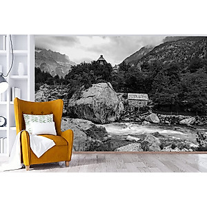 High-end RG-6 18 Gauge Gold Plated Stereo Cables for The Sega Genesis System 1 (100 Feet)