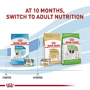 Royal Canin Size Health Nutrition X-Small Puppy Dry Dog Food, 14 lb bag