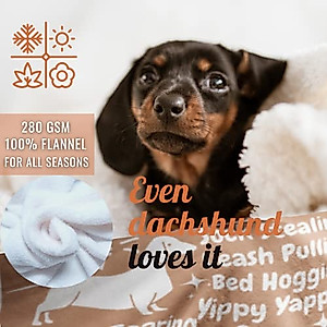InnoBeta Dachshund Gifts, Dachshund Flannel Blanket for Dachshund Lovers, Soft Throw Blanket for Women, Her, Adults, Friends, Wife, Bed, Sofa Blanket - Brown 50"x 65"