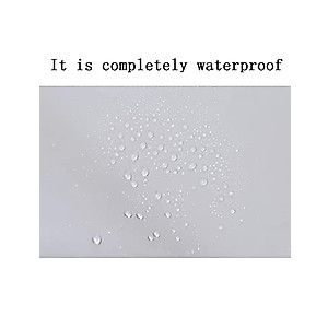 LuckyCheer Dress Bags for Gowns Long, 65'' Long Dress Clear Garment Bag (Set of 2, 23.3'' X 65'')