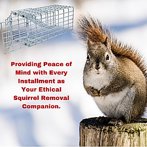 one Way Door Squirrel|Traps Alternative|one Way Door Squirrel|Squirrel Trap Live Trap Squirrel Traps