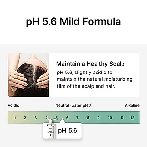 simplyO Refreshing Scalp Shampoo | Biotin & Panthenol I Dry, Itchy Scalp | Paraben-Free, Sulfate-Free I Green Breeze I 16.9 fl. oz