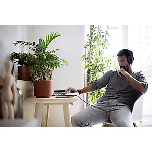 JBL Free WFH Wired Over-Ear Headset with Detachable Mic - Black (Renewed)