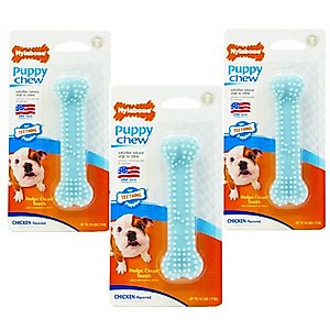 Nylabone 3 Pack Of Puppy Chew Chicken Flavored Teething Bones