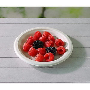 CantaGreen 6 inch Compostable Dessert Plates,100 Count Heavyduty Sugarcane/Bagasse and Bamboo Fibre Biodegradable Disposable Paper Plate