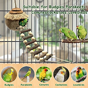 Tfwadmx Hanging Bird House with Ladder Natural Coconut Fiber Birds Nest Coco Shell Hideaway Lovebird Swing Toys Parrot Cage Accessories for Parakeet Finch Parrot Canary