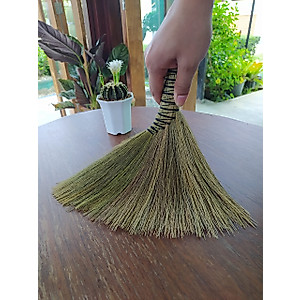 Small Whisk Broom,Handmade Turkey Wing Whisk Broom 12" for Cleaning,Sturdy Soft Brush,Bristle Design Cleans Dust Dirt & Debris Brush Head/Perfect for Indoor Outdoor and Car