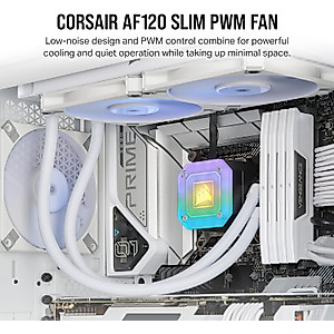 Corsair AF120 Slim, 120mm PWM Fluid Dynamic Bearing Fan (Thin Profile for Small-Form-Factor Cases, Low-Noise, Up to 2000 RPM, Zero RPM Mode Support, Universal 120x15mm Sizing) Single Pack, White