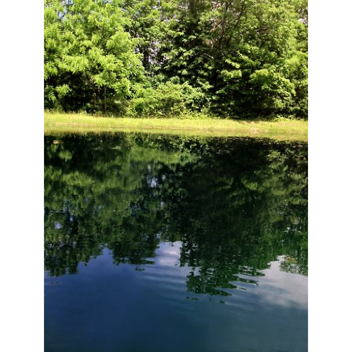 Sanco Industries Pond Dye - Black Individual Water Soluble Packet - 1 Pack Treats 1/4 Acre