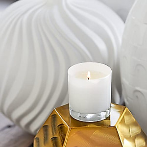 Trapp 7oz Signature Poured Scented Candle - No. 4 Orange Vanilla - Fruity Fragranced Luxury Candle, up to 50 Hour Burn - Notes of Brazilian Orange, Tahitian Vanilla, Tonka Bean