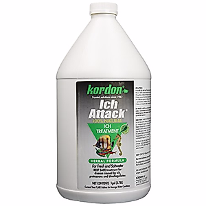 KORDON Ich-Attack Disease Inhibitor: Treats for Ich & External Fish Diseases, 100% Organic Herbal Treatment for Fresh & Saltwater, Safe for Invertebrates, Made in the USA, 1 gallon