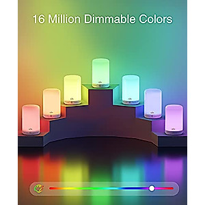 LB3 Smart Lamp, LED Bedside Touch Lamps Compatible with Alexa and Google Home, App Go_sund Control, RGB Color Changing Dimmable & Warm White Night Light for Bedroom, USB Powered