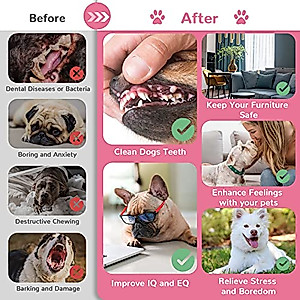 TENGZHI 6 Pack Dog Toys for Small Dog Pink Soft Rubber Puppy Toys for Teething Funny Slippers Ball Donut Interactive Set for Small Dog Teething Toys Pet Puppy Toys Set