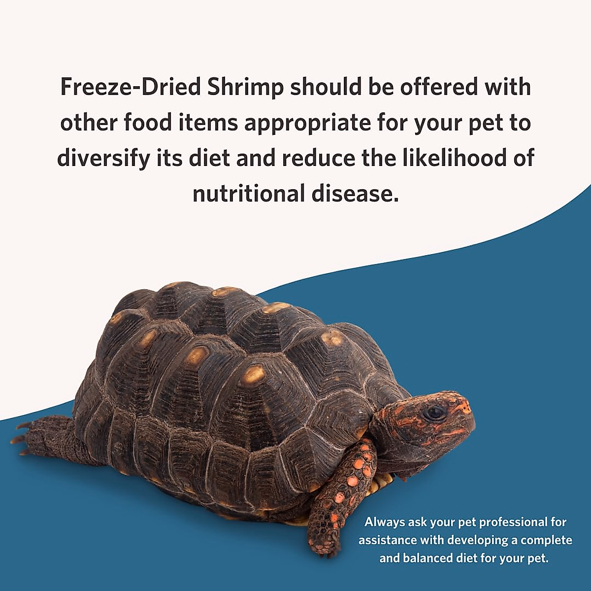 Fluker's Freeze Dried River Shrimp for Reptiles, Packed with Protein and Essential Nutrients, 1 lb. Value Pack