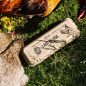 Hatortempt 24 Pack Bulk Egg Cartons, 12 Count Reusable Recycled Paper Pulp Cartons for Small to XL Eggs