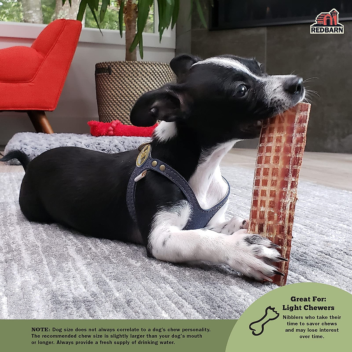 Redbarn Naturals Barky Bark Beef Dog Treats (50 Bones)