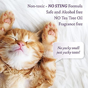 Cat and Kitten Scratch Spray Deterrent - Pet Repellent Spray for Cats & Kittens - Non-Toxic Indoor Anti Cat Scratching Formula - BLUECARE LABS