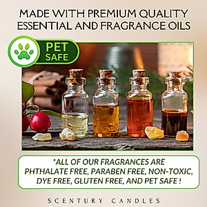 Wickless Candles For Candle Warmer Lamp, Many Scents To Choose, 100% Non-Toxic Soy Wax, Scented Candle Melts For Warming Plate, Handmade In The USA (Citrus Sunshine)