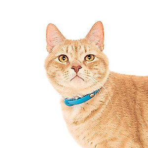 Nuvuq Comfortable, Soft and Light Cat Collar with Breakaway Snap Button (Blueberry Blue)