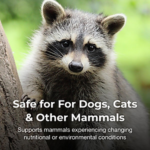 Pet-Ag Zoologic Bene-Bac Plus Mammal Gel - 30 gm Syringe - FOS & Probiotics for Dogs, Cats, Exotic & Wildlife Mammals