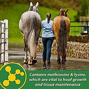 Farnam HB 15 Hoof Supplement, Supports Healthy hoof Growth 7 Pound, 112 Day Supply