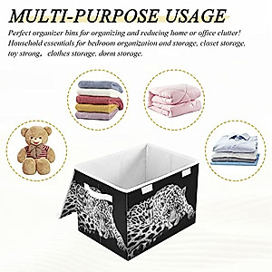 Kigai Leopard Cheetah Black Storage Basket with Lid Collapsible Storage Bin Fabric Box Closet Organizer for Home Bedroom Office 1 Pack