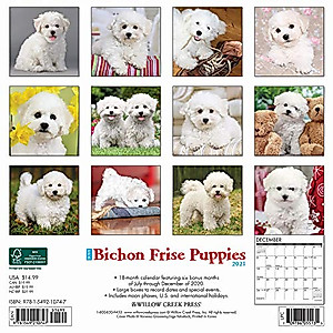 Just Bichon Frise Puppies 2021 Wall Calendar (Dog Breed Calendar)