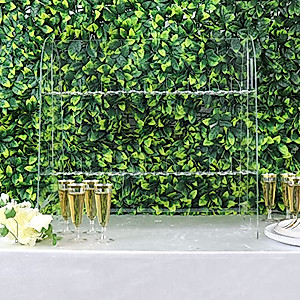 Tableclothsfactory 25" Clear Acrylic 2-Tier Wine Glass Stemware Rack, Champagne Flute Holder with Stand