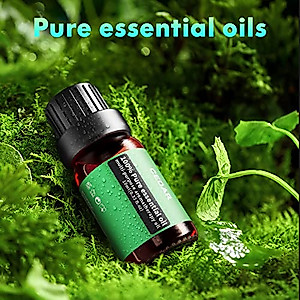 Essential Oil Diffuser Gift Set ，550ml Diffuser & Essential Oil Set, Top 10 Essential Oils, Aromatherapy Diffuser Humidifier with 4 Timer &Auto Shut-Off for & 15 Ambient Light Settings