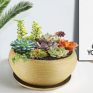 MUZHI 10” Round Large Ceramic Bonsai Bowl Planter，Clay Succulent Plant Pot Container with Saucer