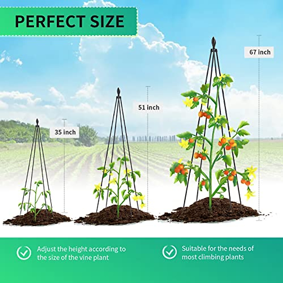 Lalahoni 2 Pack Garden Trellis for Climbing Plants Outdoor Indoor Pot | 67inch Tall Plants Trellis Support for Climbing Vines Vegetables Plants | Garden Obelisk Trellis, Lightweight, Black