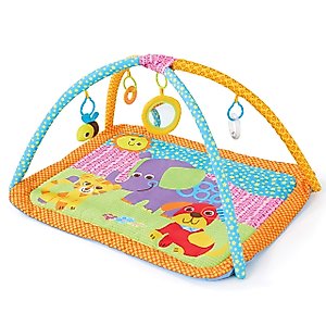 Bruin My 1st Playgym
