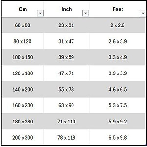 Generic Falcon Cockpit Rug, Starwars Millennium Cockpit Rug HT-941.1 (31”x47”)=80x120cm