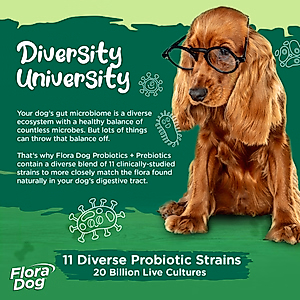 Vital Planet - Flora Dog Probiotics, Dog Chews Supplement with 20 Billion Cultures and 11 Strains, Immune and Digestive Support Chewable Probiotics for Dogs, 30 Natural Bacon Flavored Soft Chews