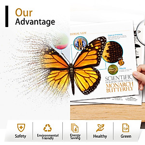 Toner Cartridges Compatible with Brother HL-L3210CW HL-L3230CDW HL-L3270CDW HL-L3290CDW MFC-L3710CW MFC-L3750CDW MFC-L3770CDW, TN-227BK TN-227C TN-227M TN-227Y Toner 4000 Pages (1 Pack Yellow)