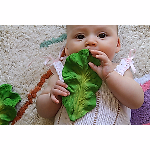 Oli & Carol Natural Rubber Teether - Vegetable Shaped Teething Toy for Babies 0-12 Months | Baby Teething Relief | Teethers for Infants 0-6 & 6-12 Months | Natural Hevea Rubber (Kendall The Kale)